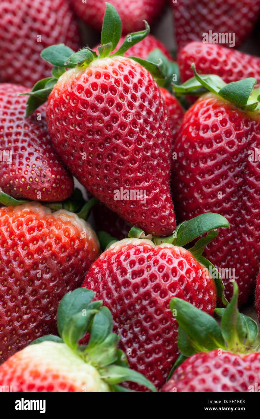 Full frame strawberries hi-res stock photography and images - Alamy