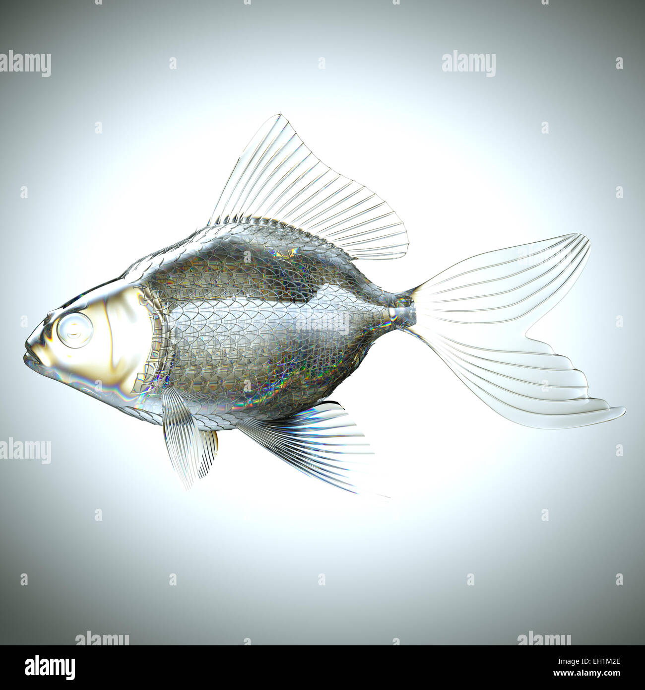 Side view of fish made of glass over gradient background Stock Photo ...