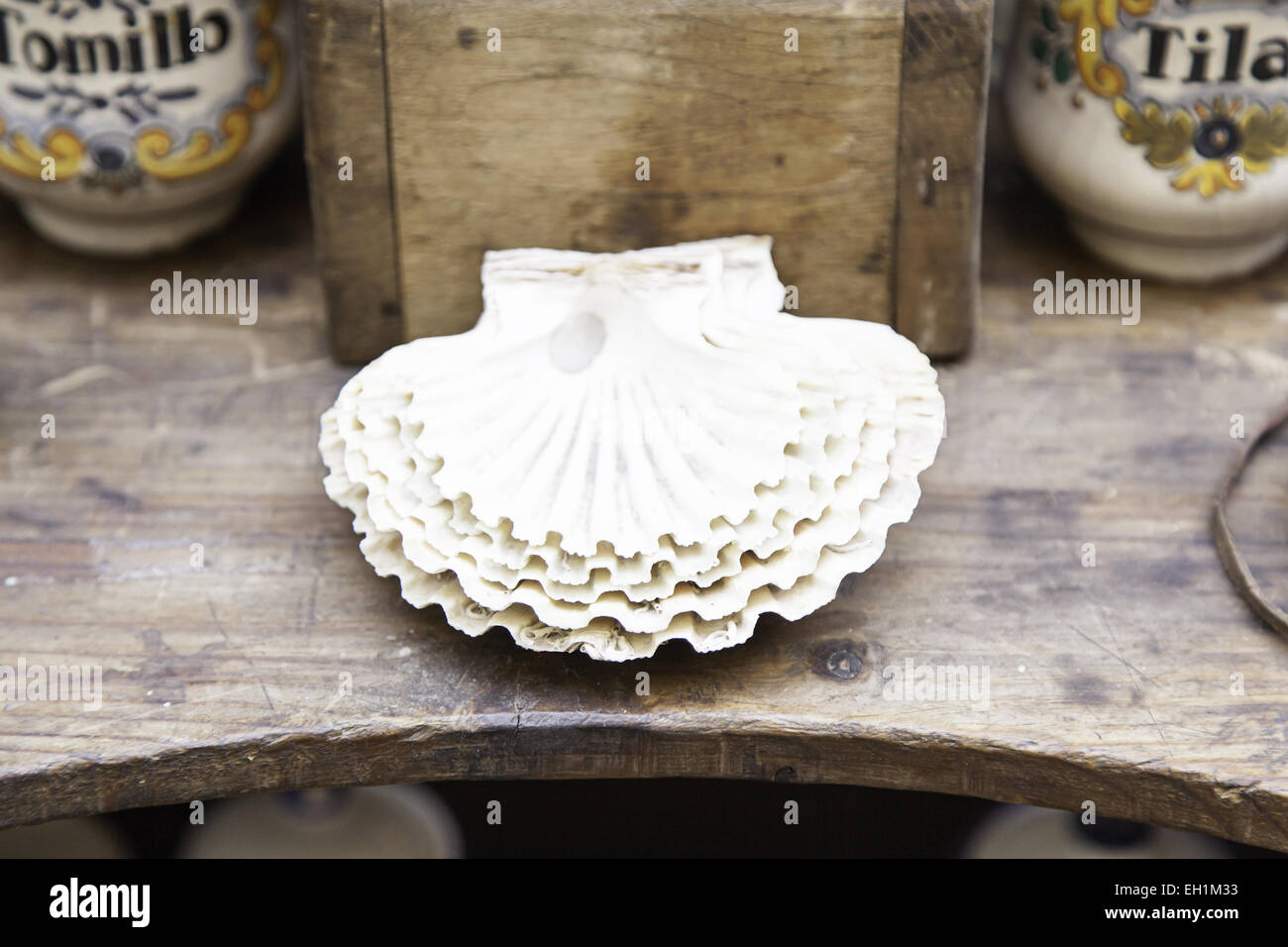 Old scallop shells, detail of a empty shells Stock Photo - Alamy