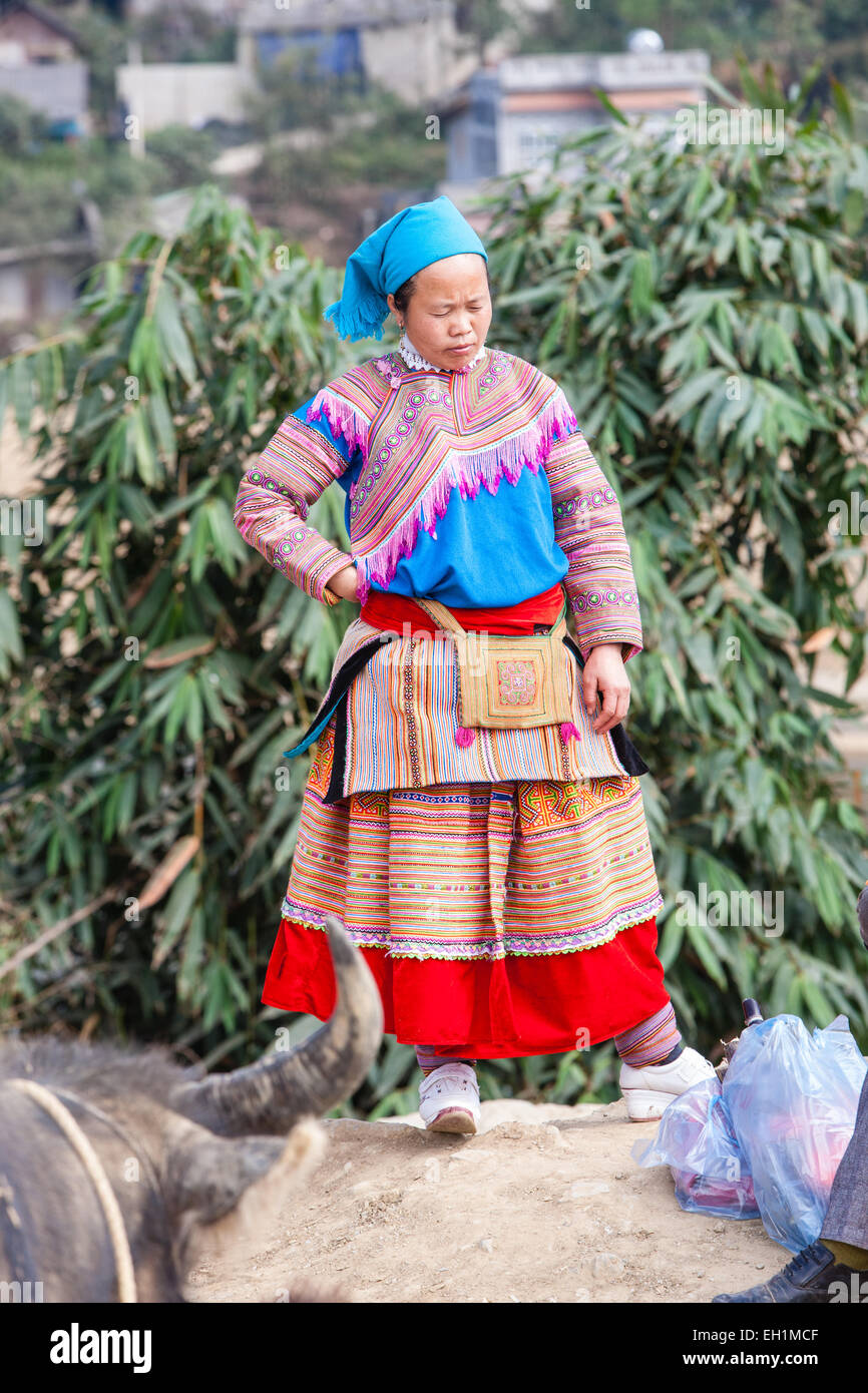 Bac Ha Sunday Market famed for buffalo selling near Lao Cai, and Sa Pa ...
