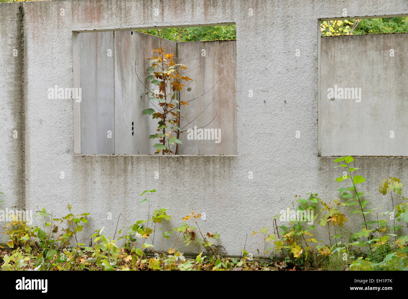 Concrete ruins hi-res stock photography and images - Alamy