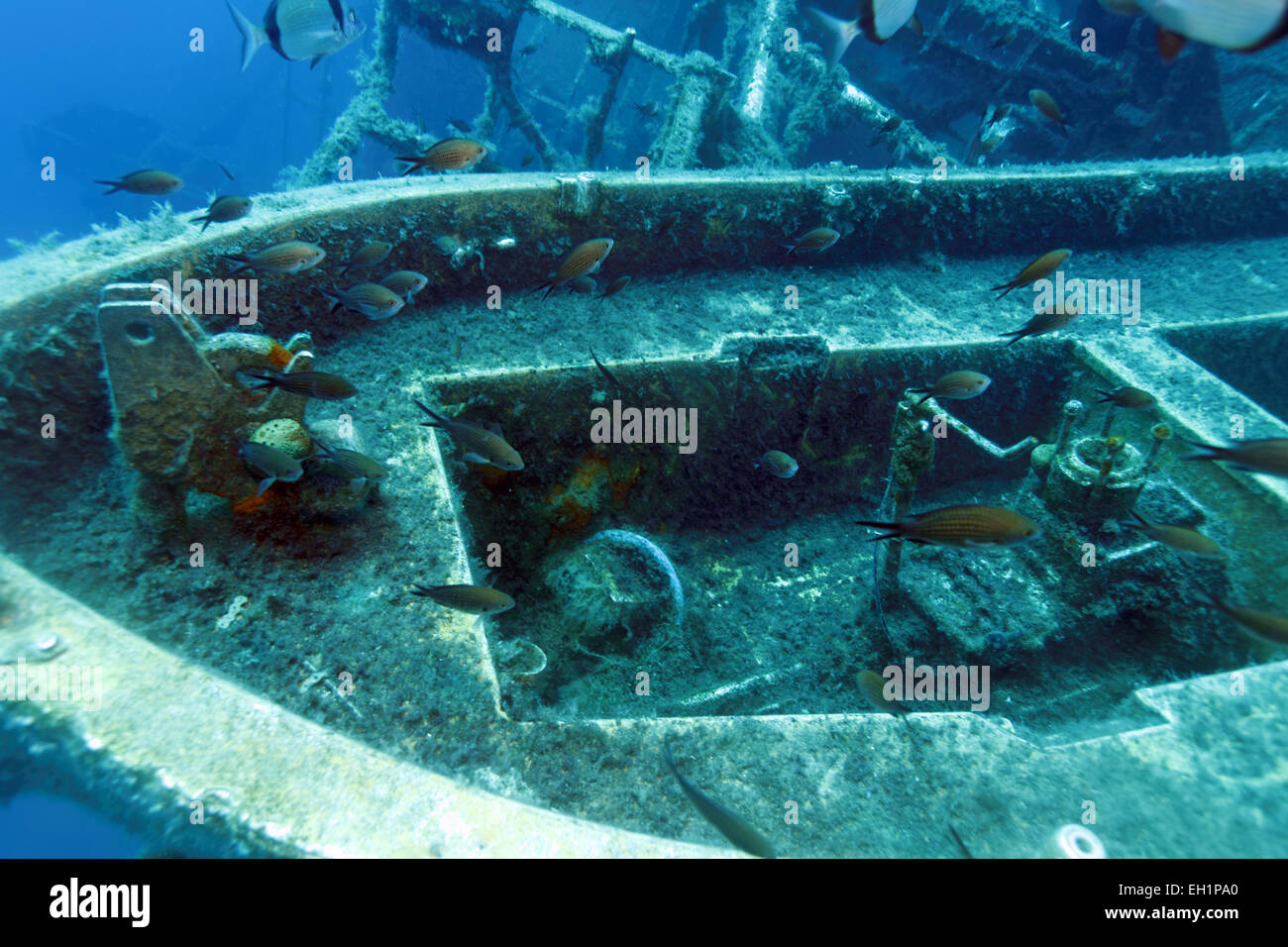 Zenobia shipwreck hi-res stock photography and images - Alamy