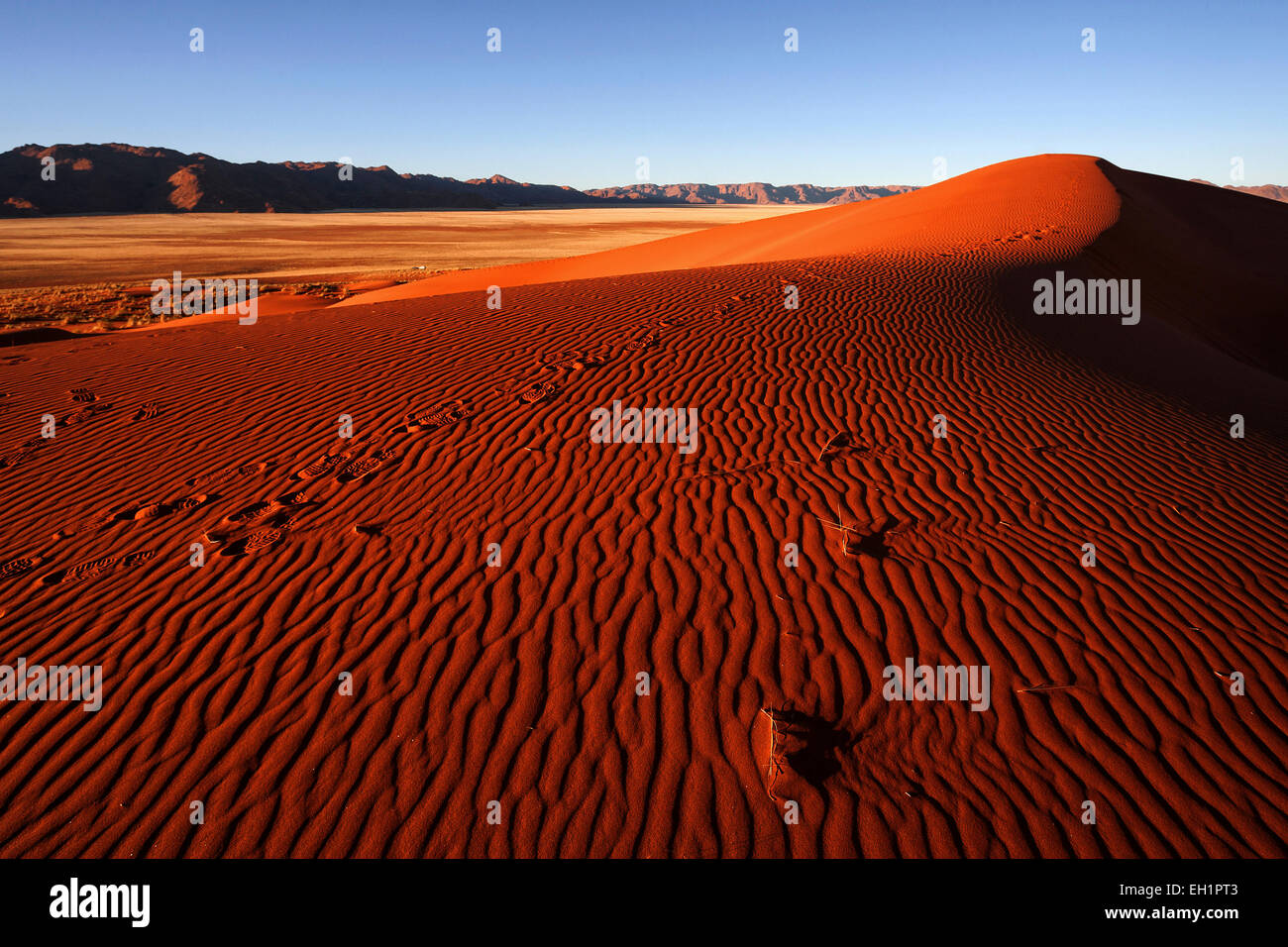 Southern foothills of the Namib desert, sand dunes, structures, behind ...