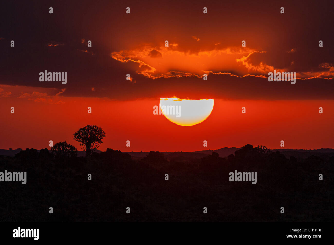 Sunset, silhouette of quiver trees, Garas Park, near Keetmanshoop ...