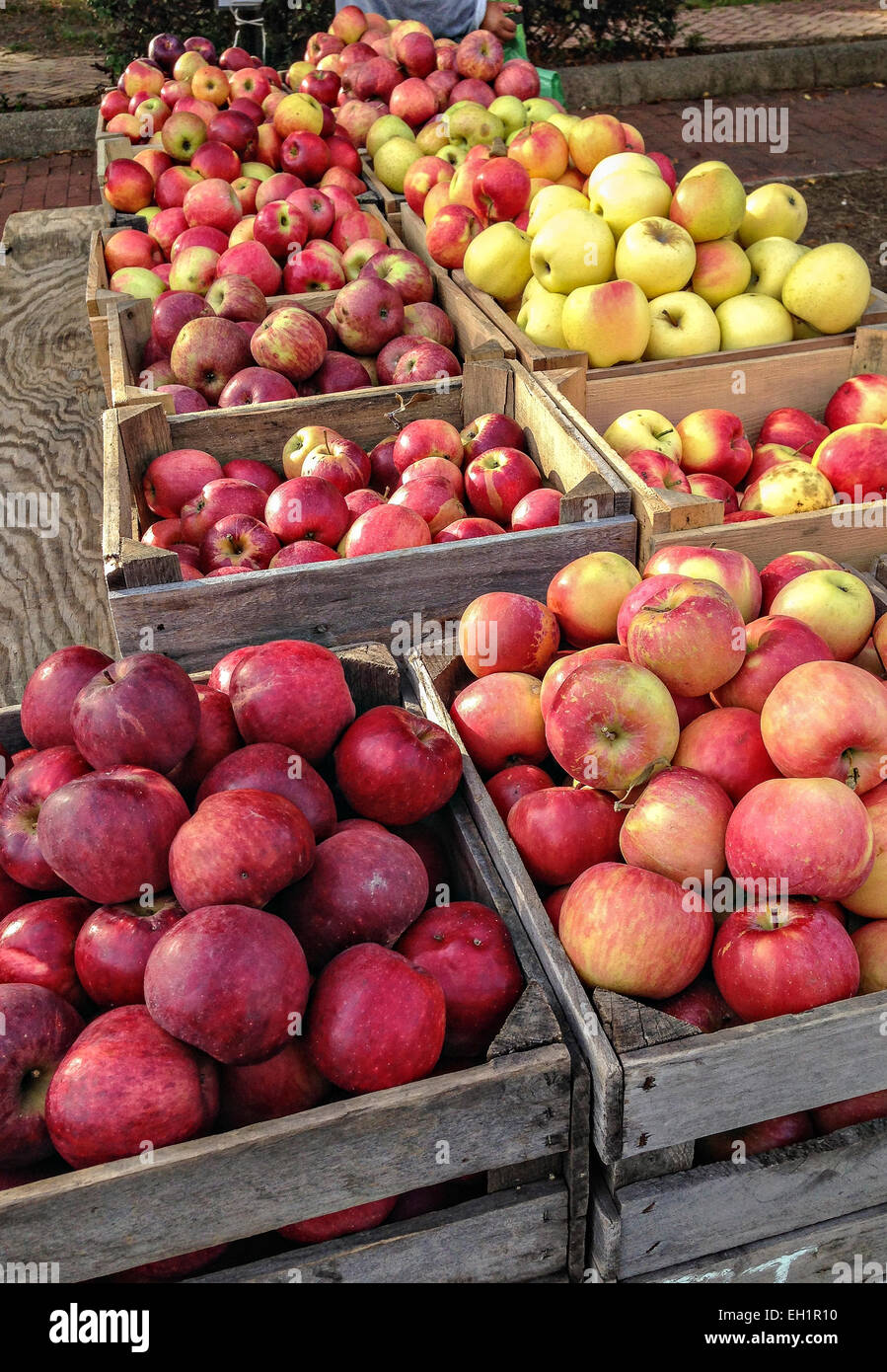 A variety of organic apples for sale at an urban farmers market at ...