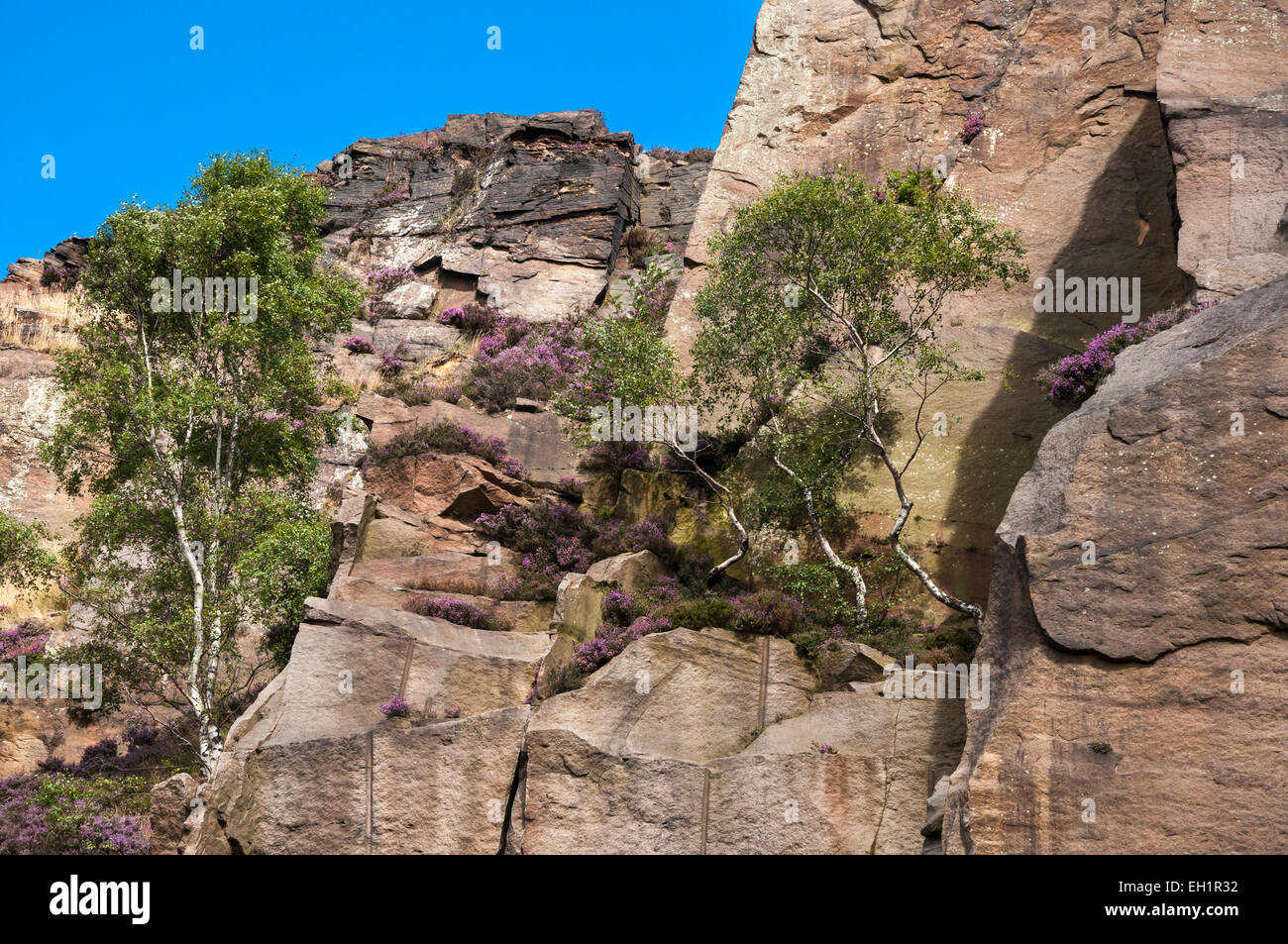 Trees in rock face hi-res stock photography and images - Alamy