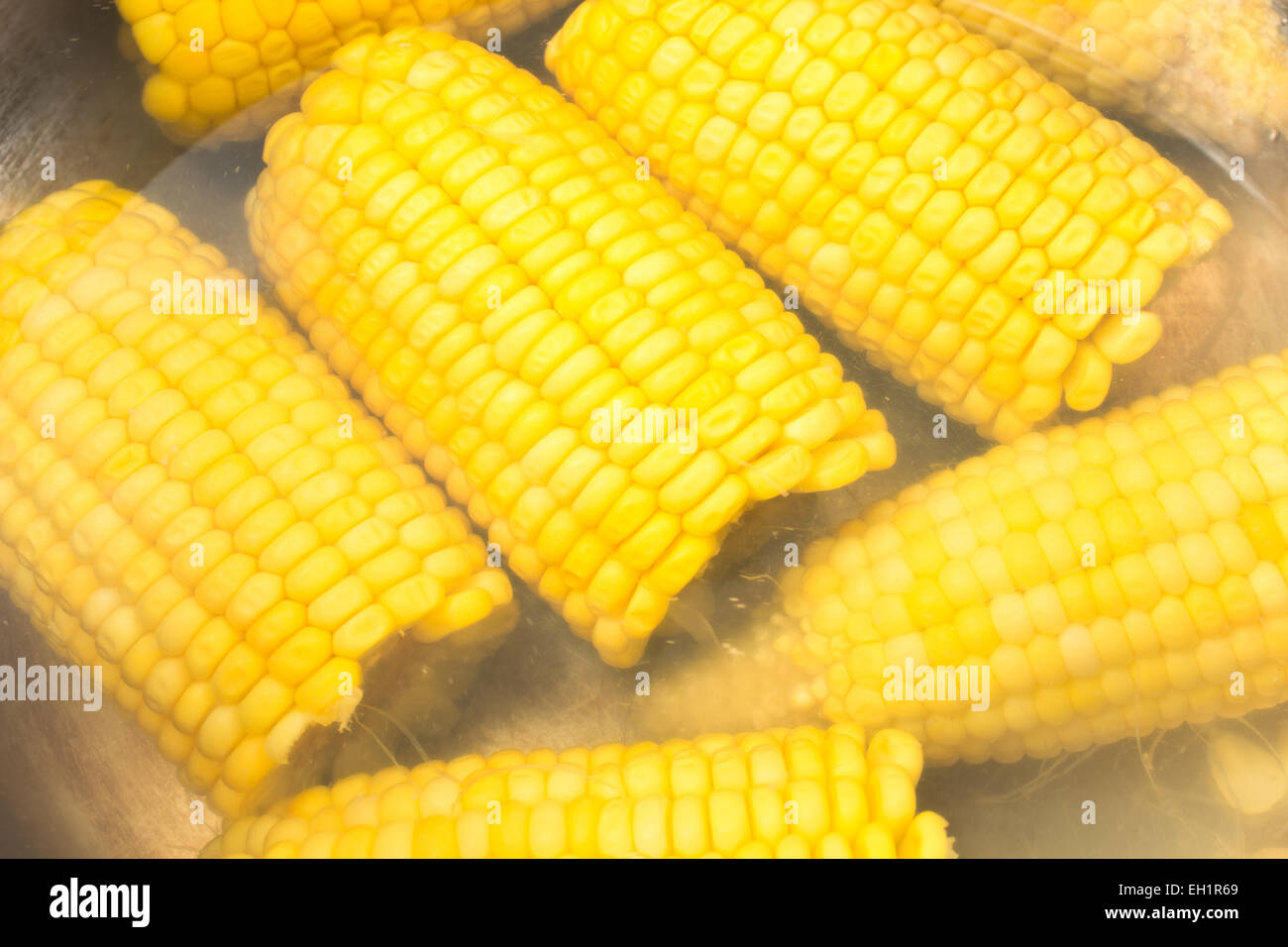 Boiled corn in hot water Stock Photo - Alamy