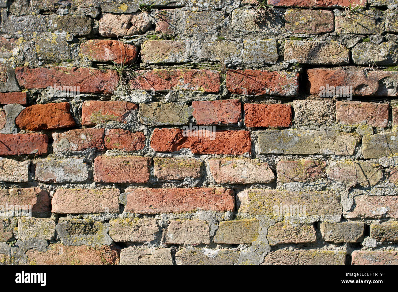 Image Nice Brick Wall Background High Resolution Stock Photography and ...