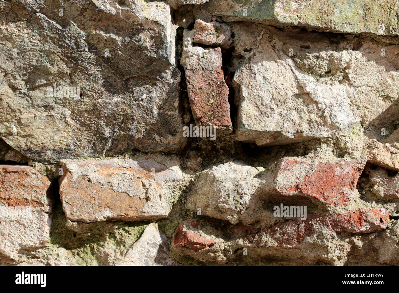 Nice closeup view hi-res stock photography and images - Alamy