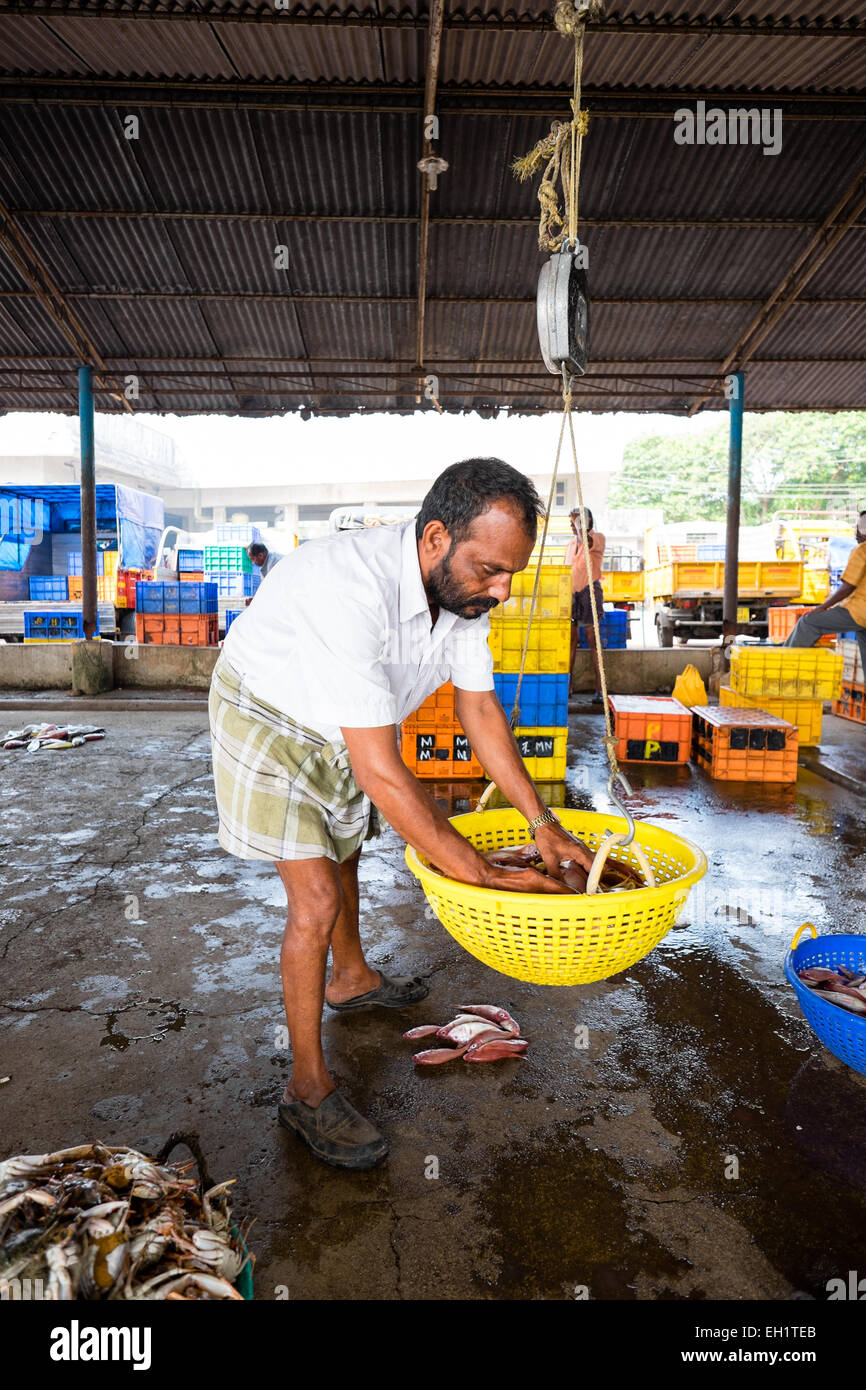 Vypen Island Fish Market, Cochin, Kerala, India Stock Photo - Alamy