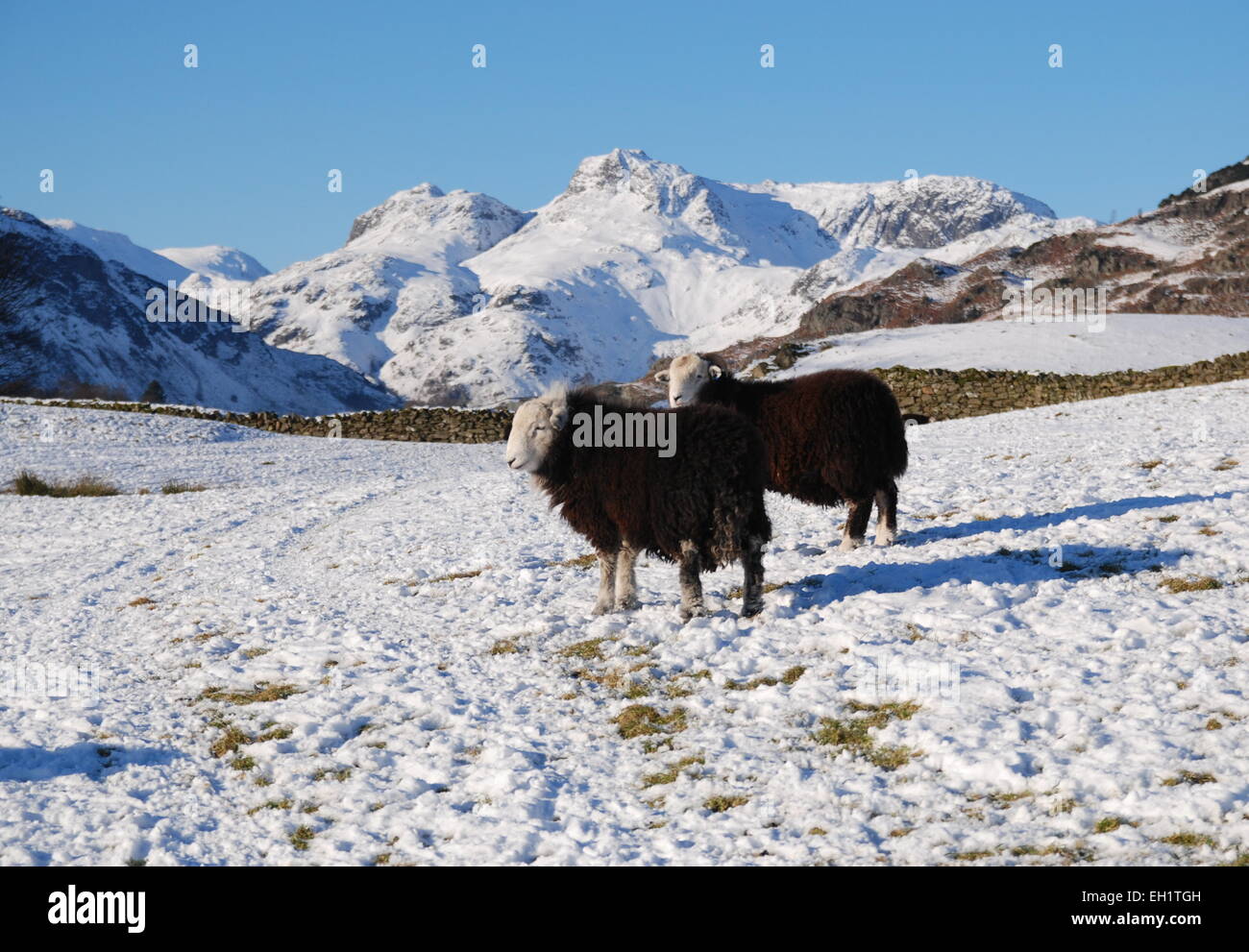 Langdale pikes winter hi-res stock photography and images - Alamy