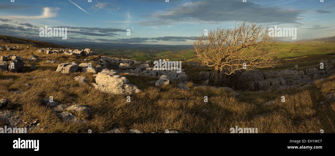 Farleton knott hi-res stock photography and images - Alamy