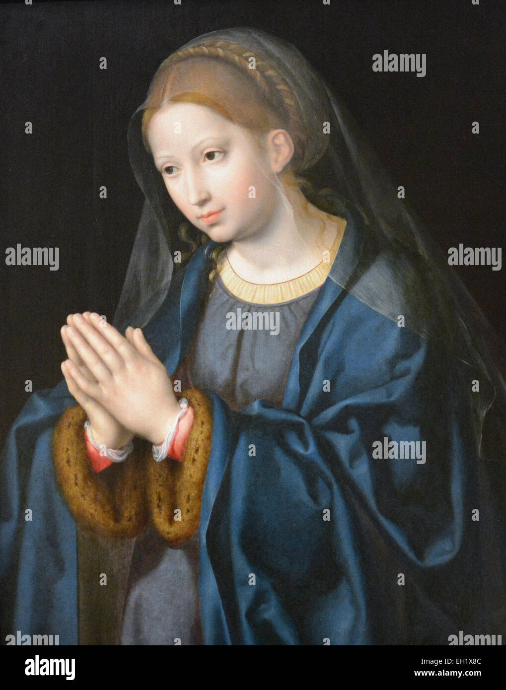 Joos van Cleve The Virgin in Prayer Stock Photo - Alamy