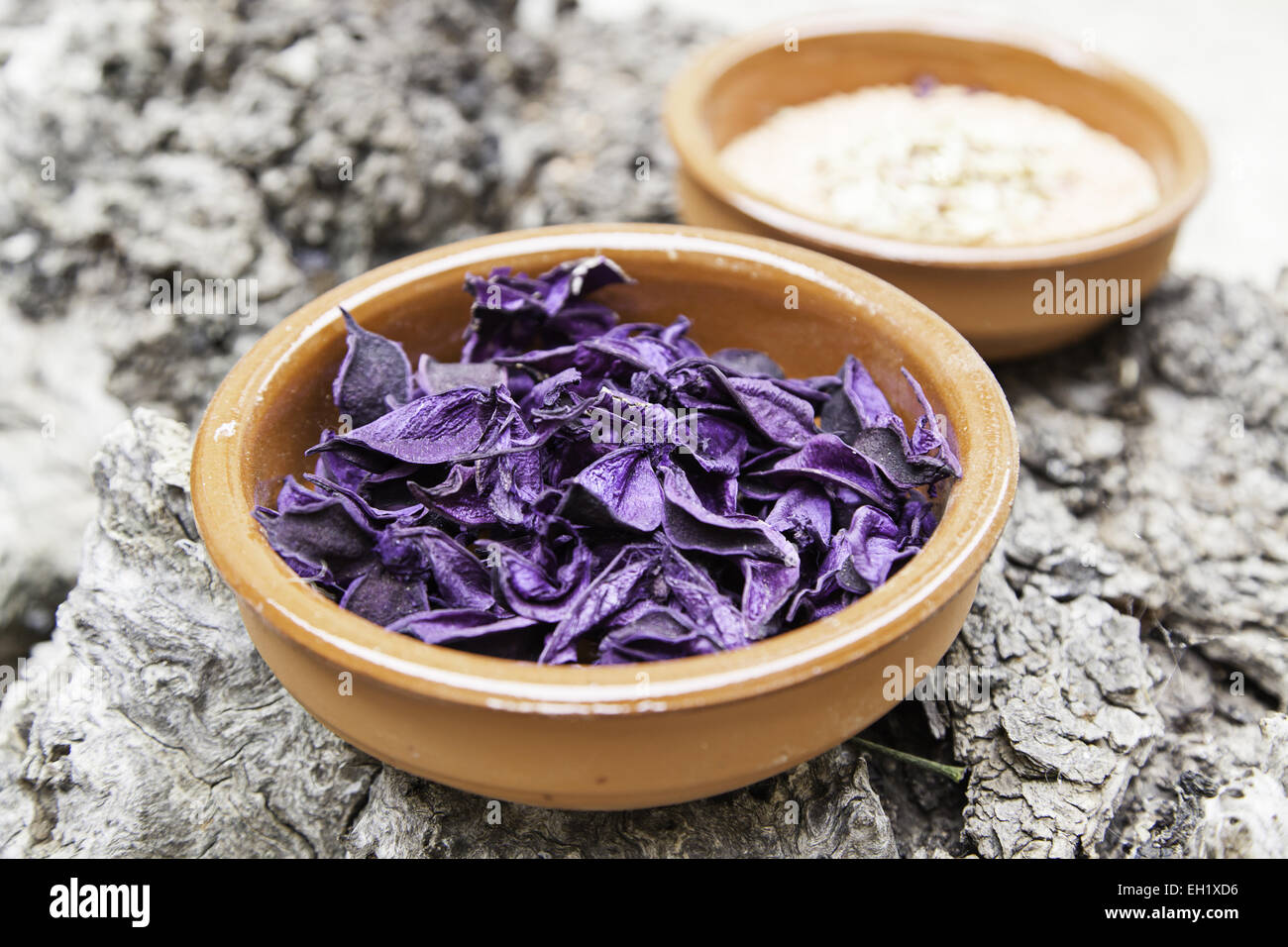 Blue Dried flowers, detail of a painted blue flowers, color decoration ...
