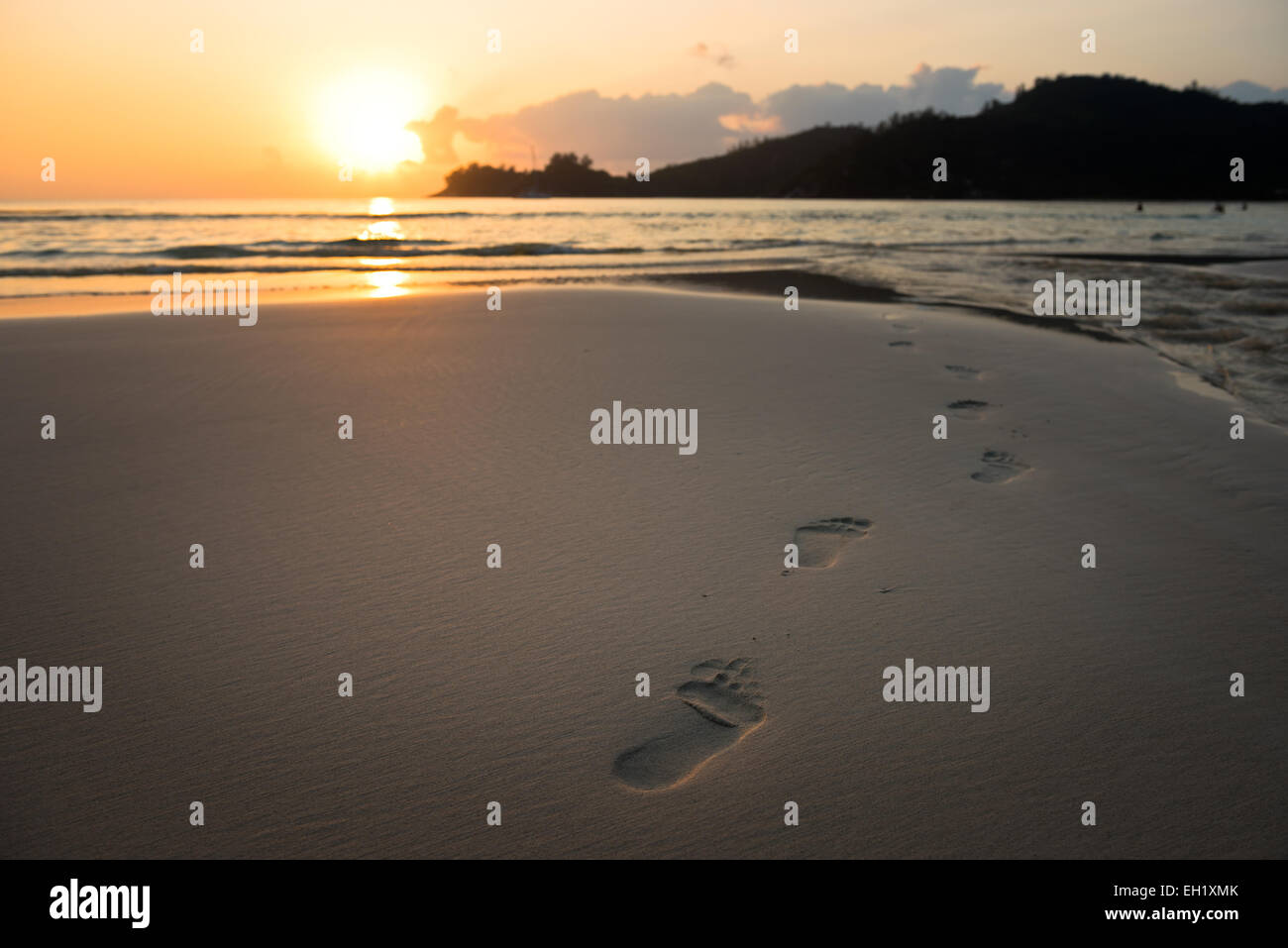 Human footprints on beach sand. Horizontal shot with copy space Stock ...