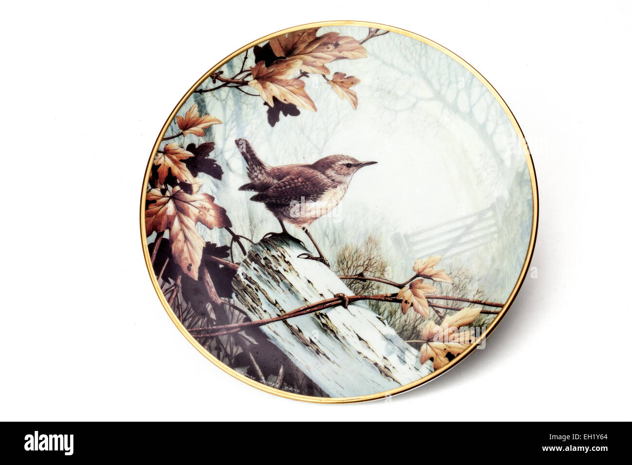 WEDGWOOD & RSPB SPINK CENTENARY COLLECTION WREN BIRD PLATE Stock Photo ...