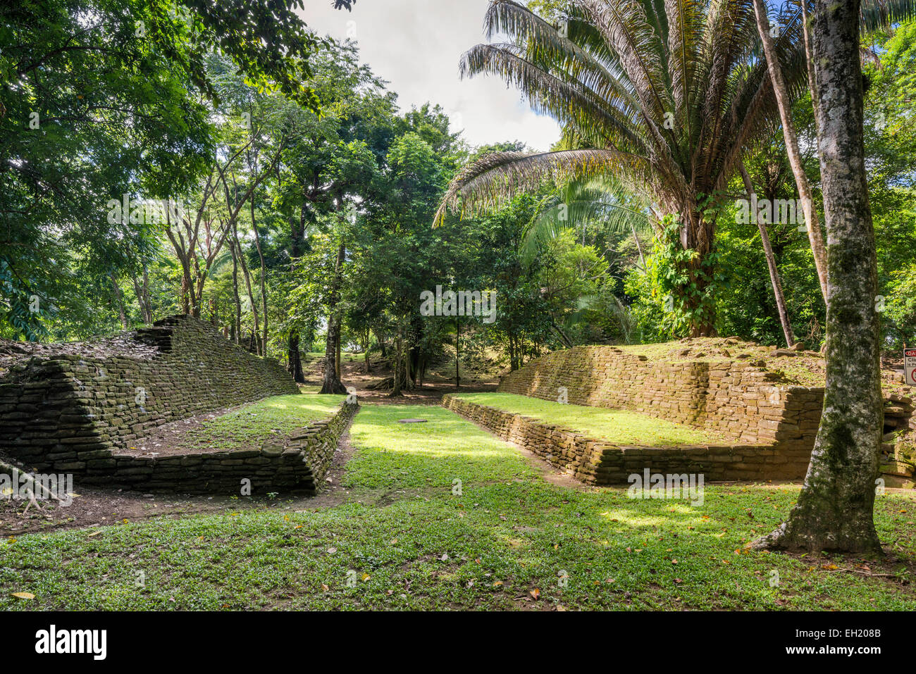 Ballcourt at Nim Li Punit, Maya ruins, rainforest, Southern Highway ...