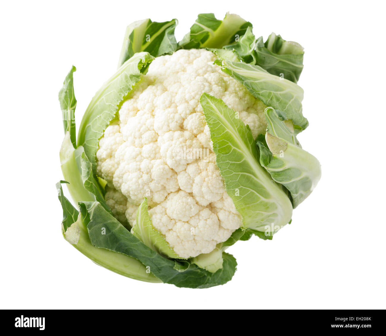 cauliflower on white background Stock Photo - Alamy