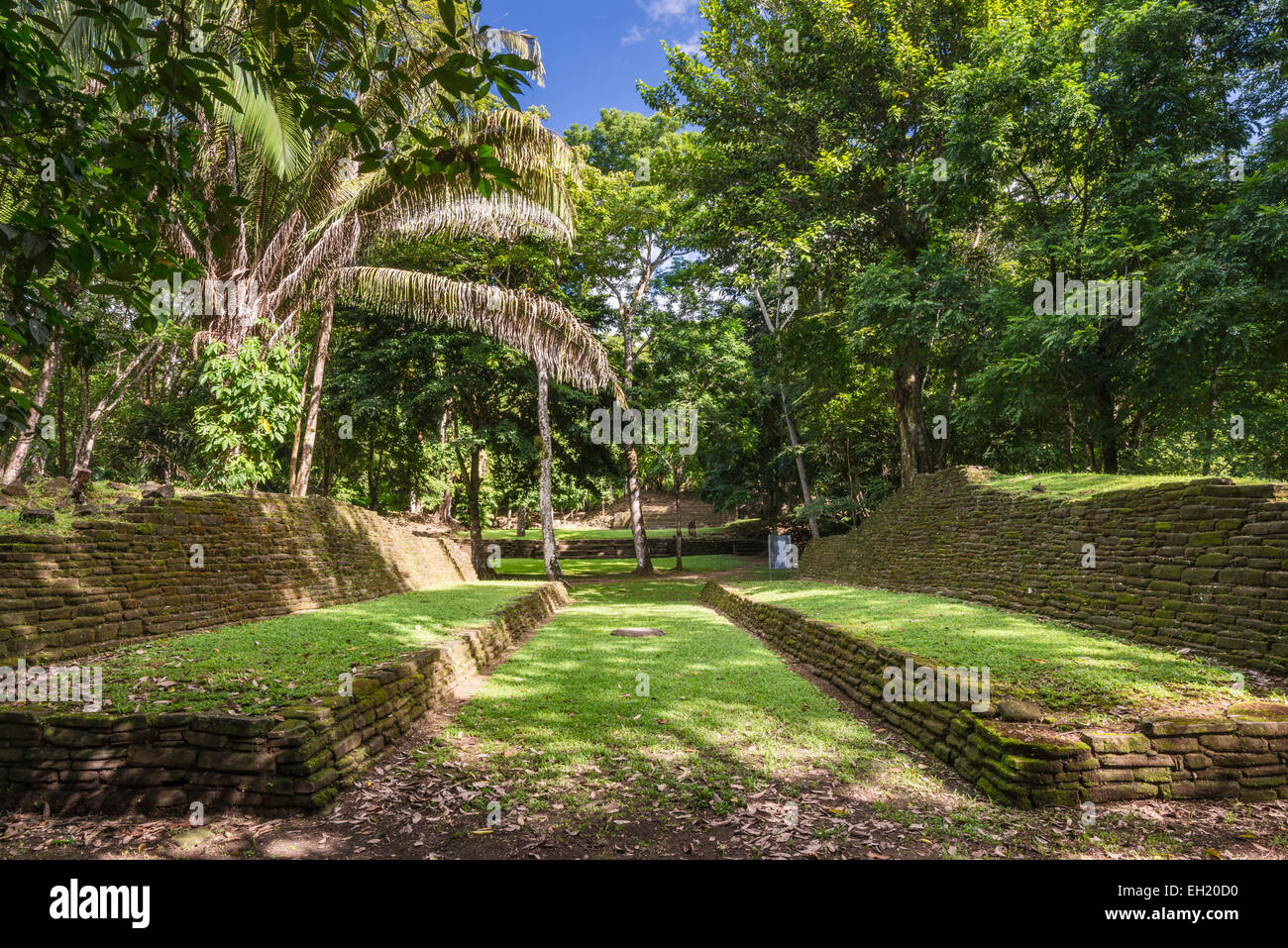 Ballcourt at Nim Li Punit, Maya ruins, rainforest, Southern Highway ...