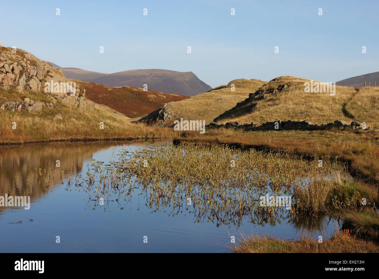 Tarn on High Rigg. Lonscale Fell in distance Stock Photo - Alamy