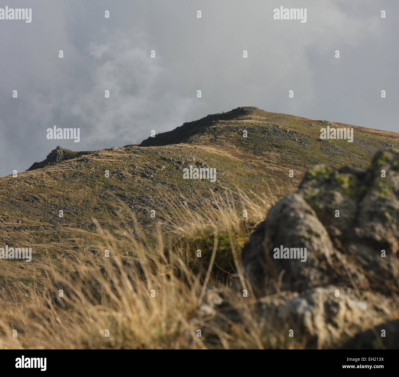 Red Screes summit from Little Hart Crag lake district Stock Photo - Alamy
