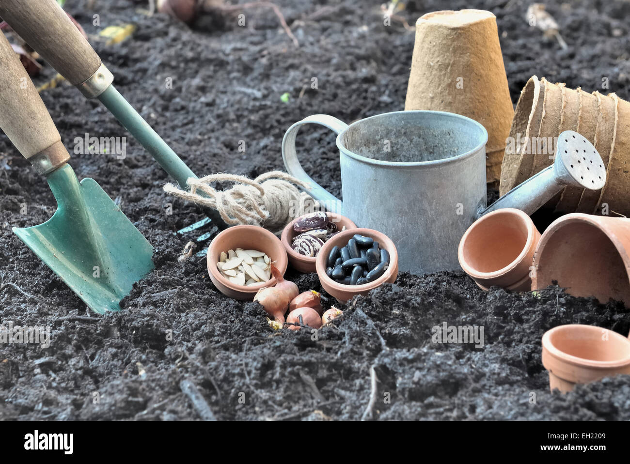 seeds in pot with gardening tools placed on soil to sowing Stock Photo ...