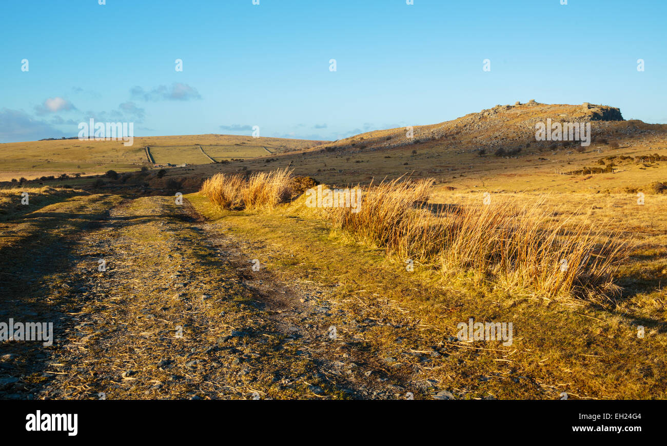 Warm evening light on Bodmin Moor overlooking stowes hill and the ...
