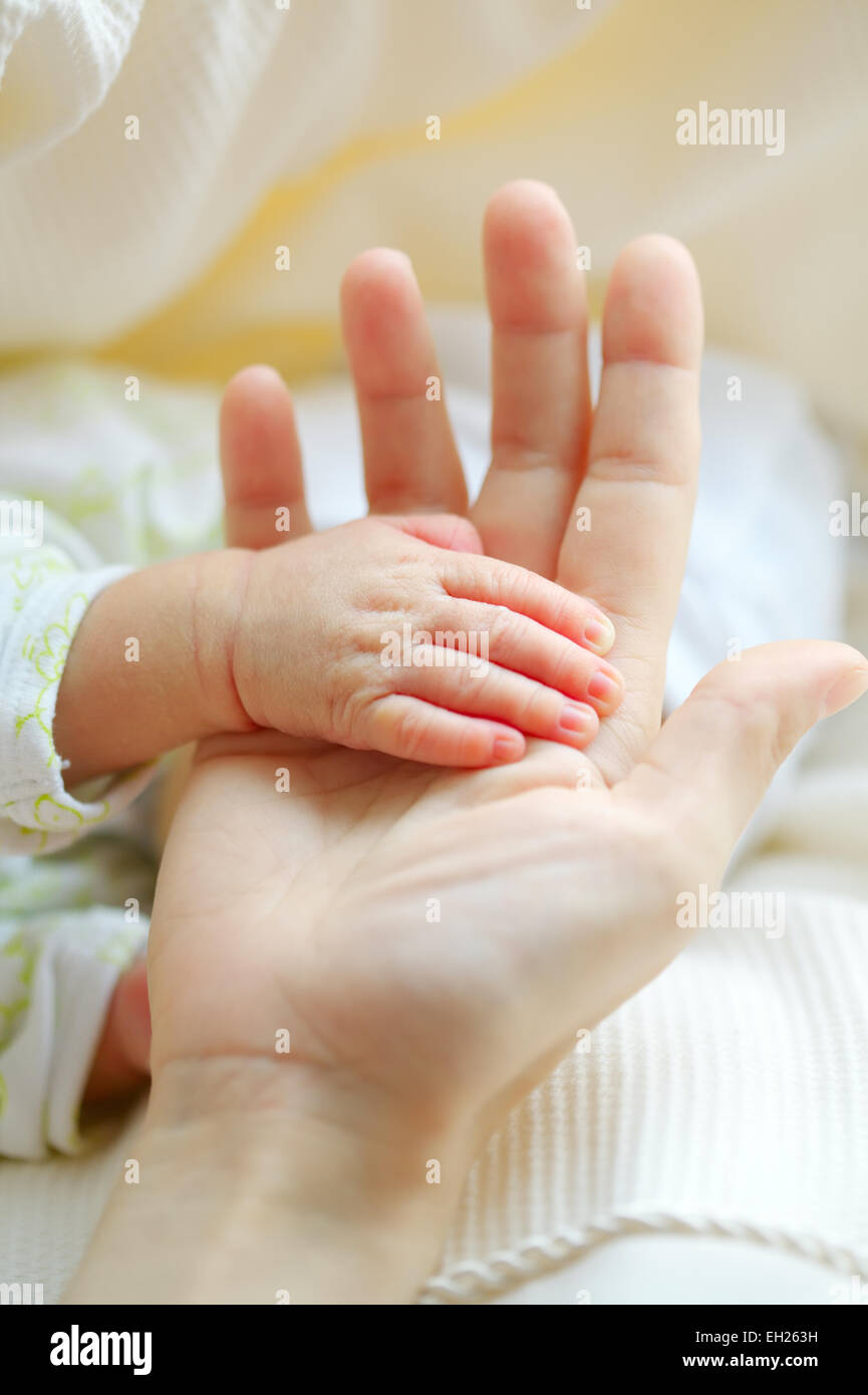 parental hand holds palm of newborn baby Stock Photo - Alamy