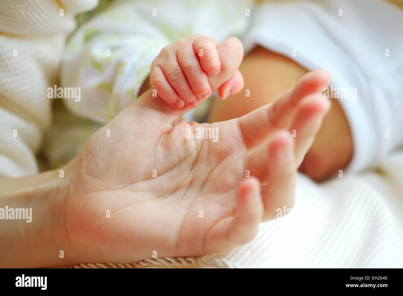 parental hand holds palm of newborn baby Stock Photo - Alamy