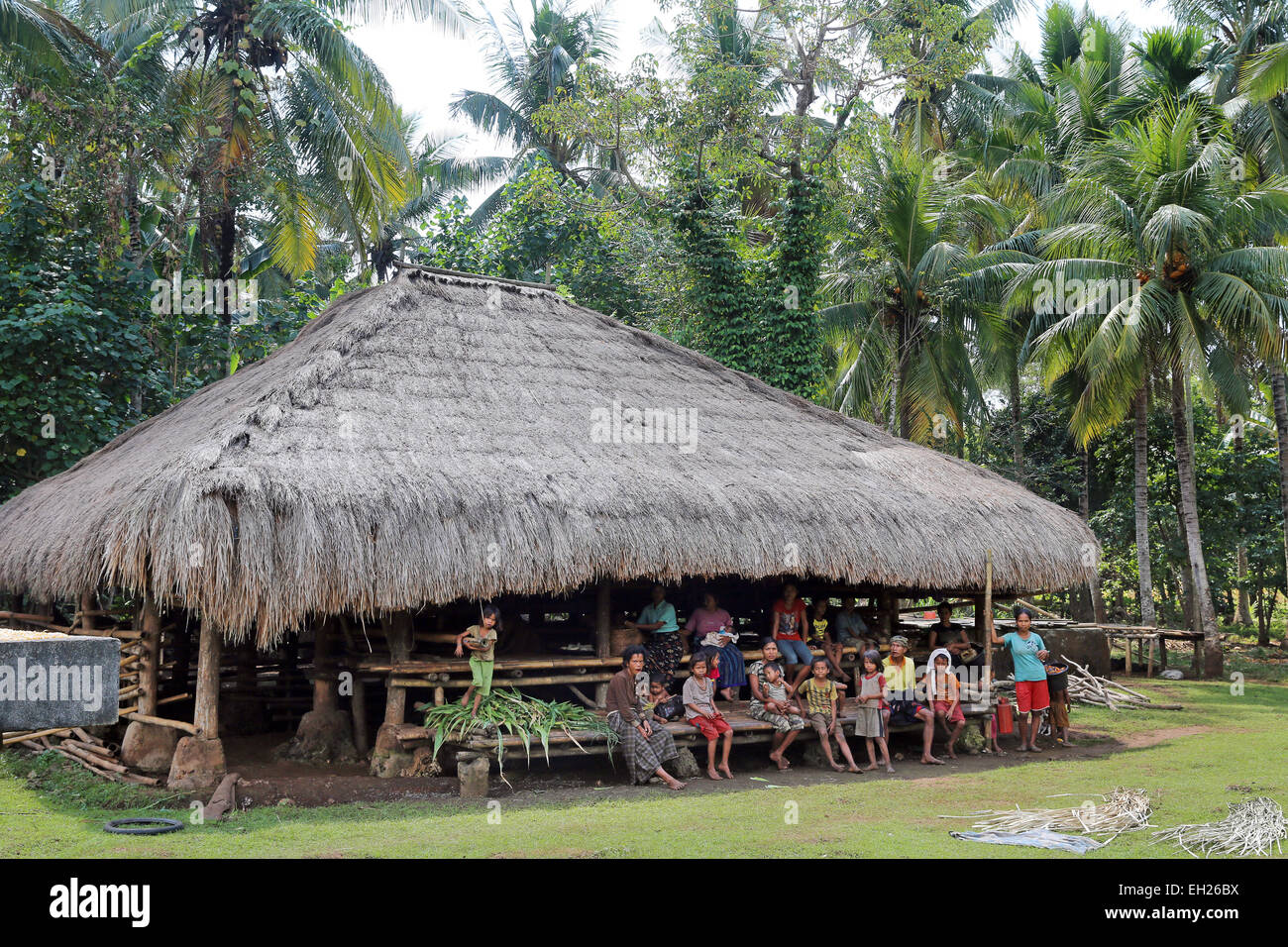 Sumbanese house in a village with traditional thatched roof, island of ...