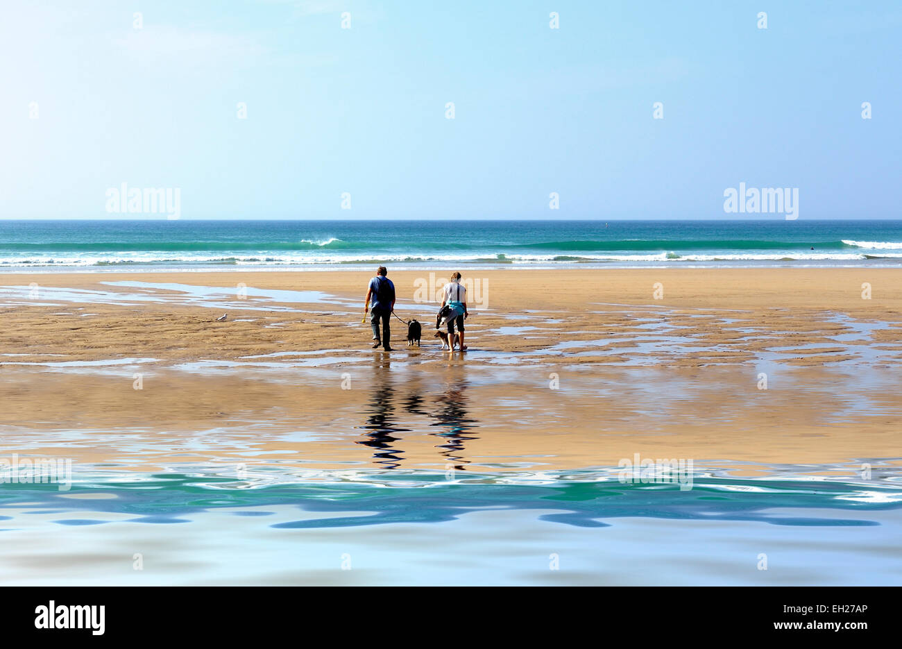 A couple walking a dog on Penhale beach Cornwall England uk.digitally ...