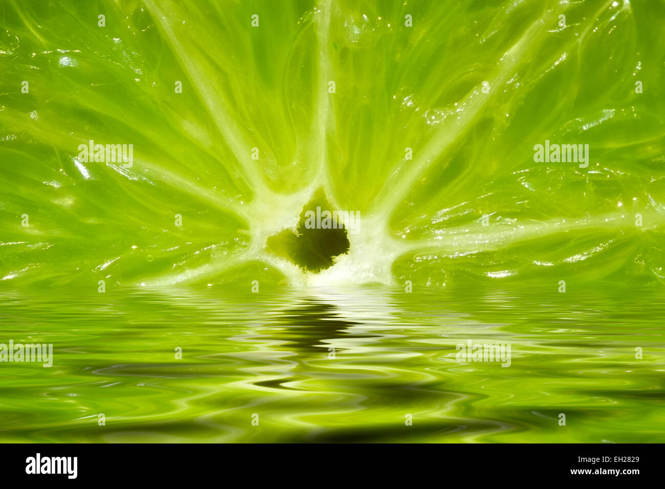 Extreme close up. A slice of lime reflected into a digitally created pool of water Stock Photo ...