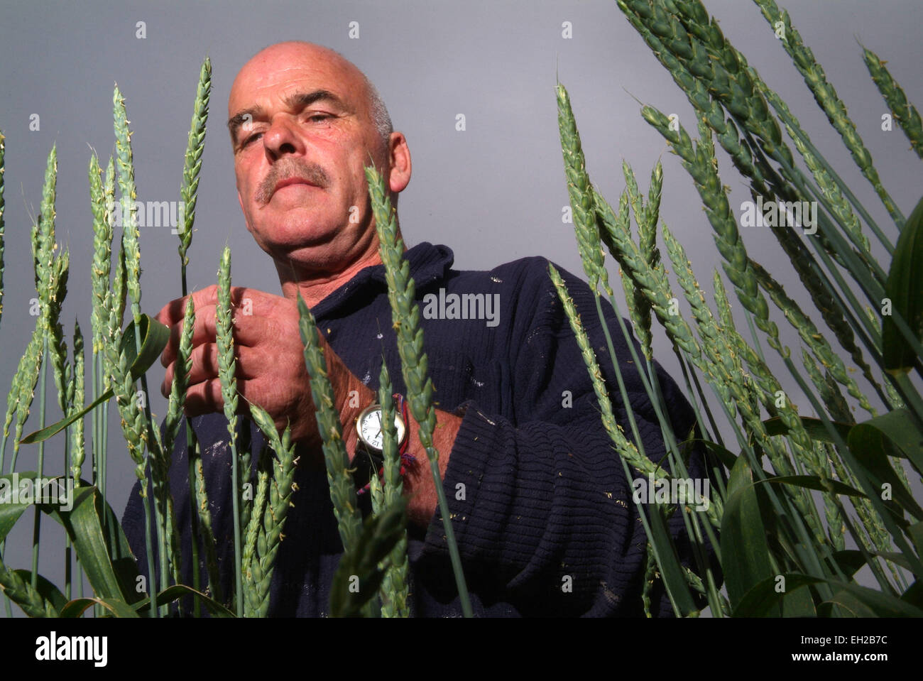 Sharpham park hi-res stock photography and images - Alamy