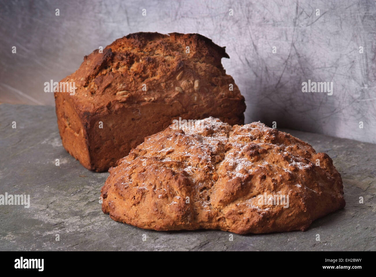 Organic Spelt being grown at Sharpham Park Farm,Glastonbury,Somerset,UK ...