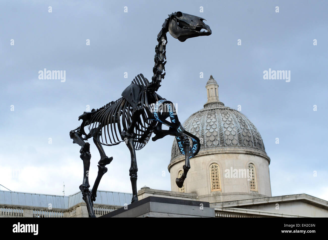 Trafalgar square fourth plinth cockerel hi-res stock photography and ...