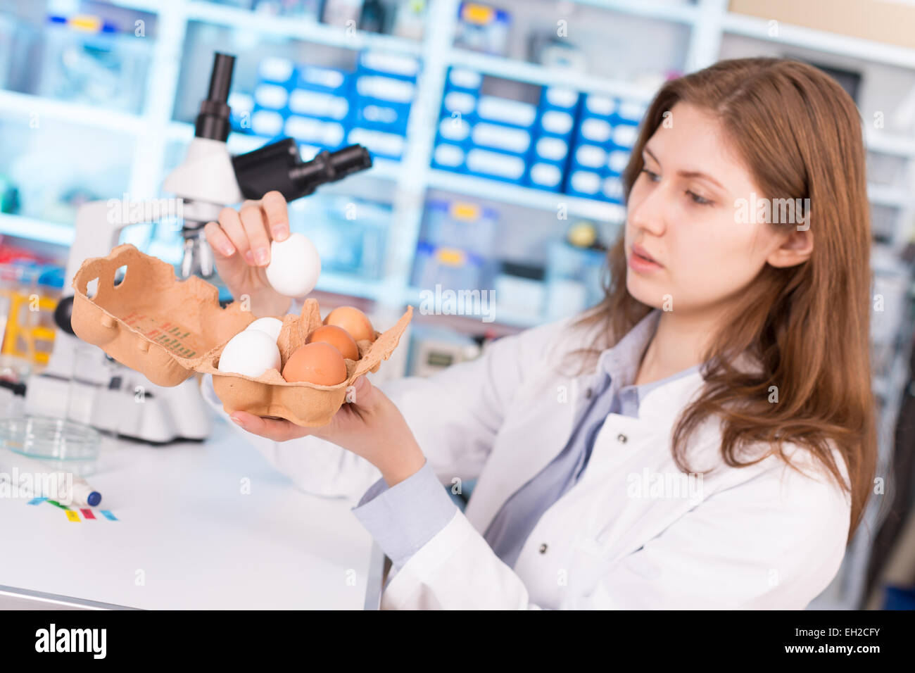 girl in the laboratory testing of food quality egg. Check the content ...