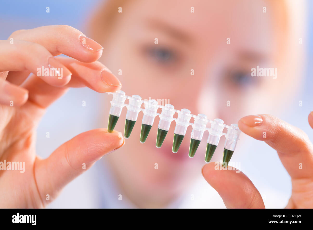 woman in a laboratory with microtube test tube in hand and PCR ...