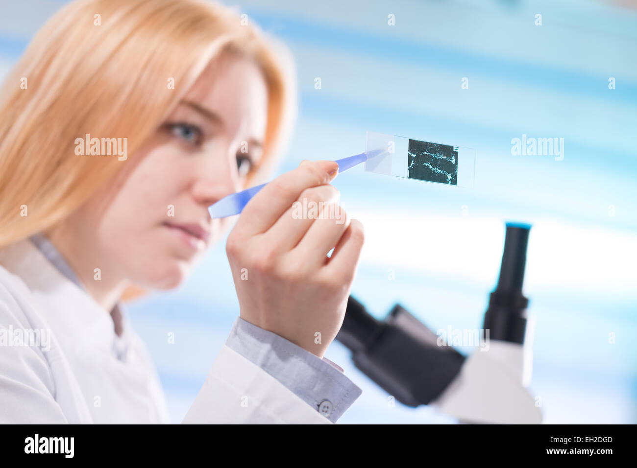 food quality control Stock Photo - Alamy