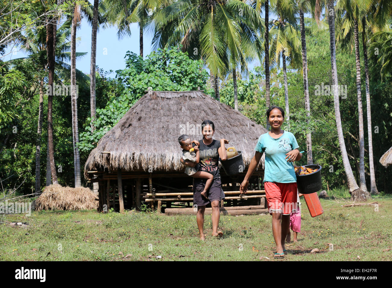 Sumbanese house in a village with traditional thatched roof, island of ...