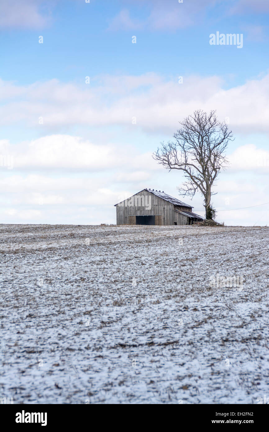 Kentucky bluegrass region hi-res stock photography and images - Alamy