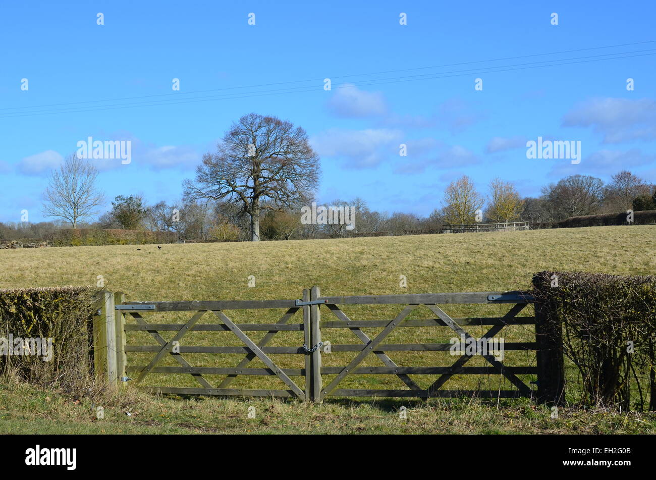 Farm gates hi-res stock photography and images - Alamy