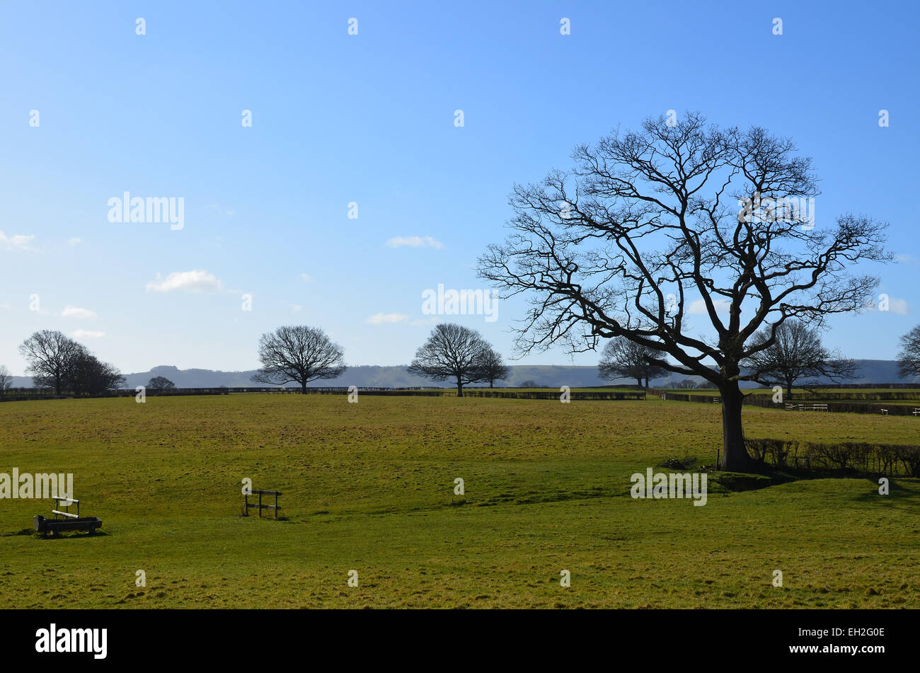 The beautiful landscape of West Sussex in Spring Stock Photo - Alamy