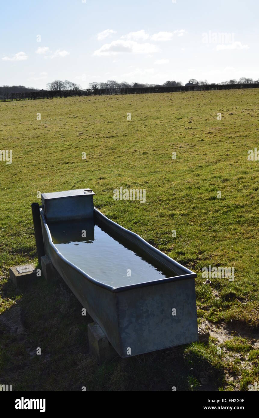 Animal trough uk hi-res stock photography and images - Alamy