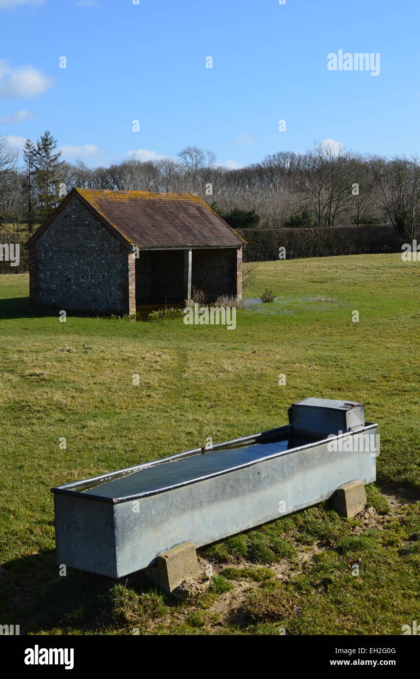 Animal water trough in the Sussex countryside Stock Photo - Alamy