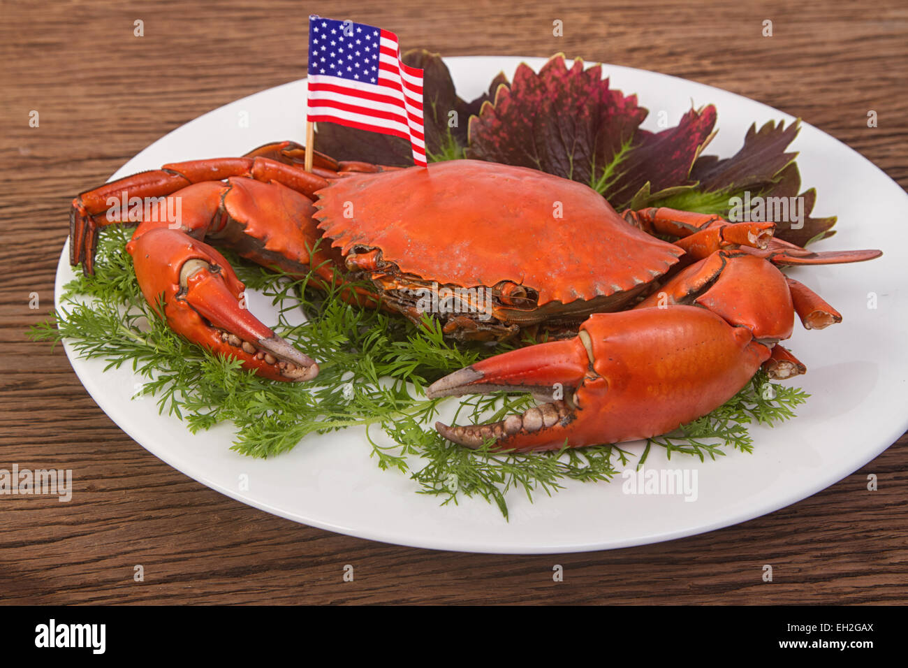 Cooked whole crab Stock Photo - Alamy