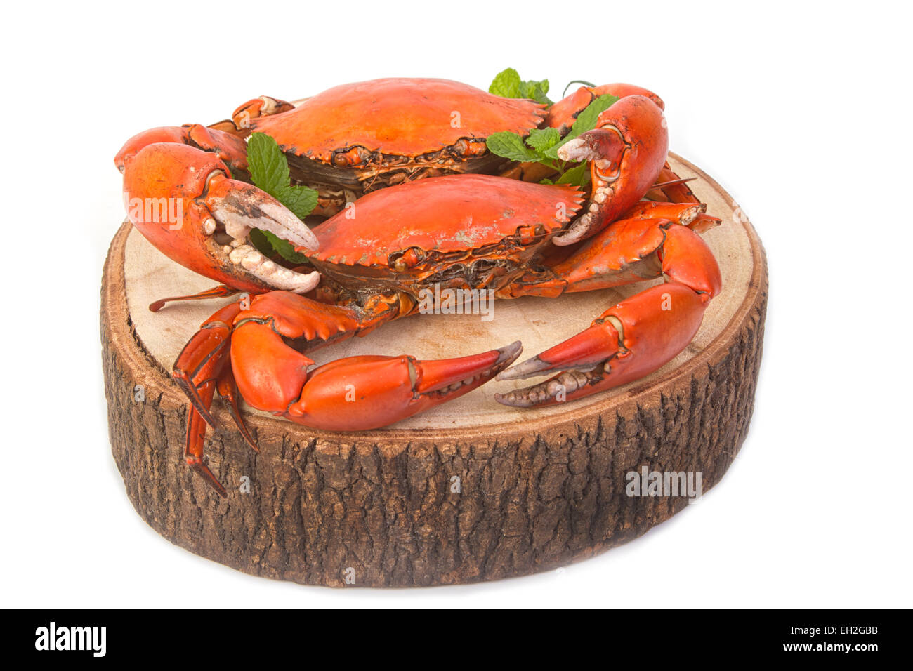Cooked whole sea crab Stock Photo - Alamy
