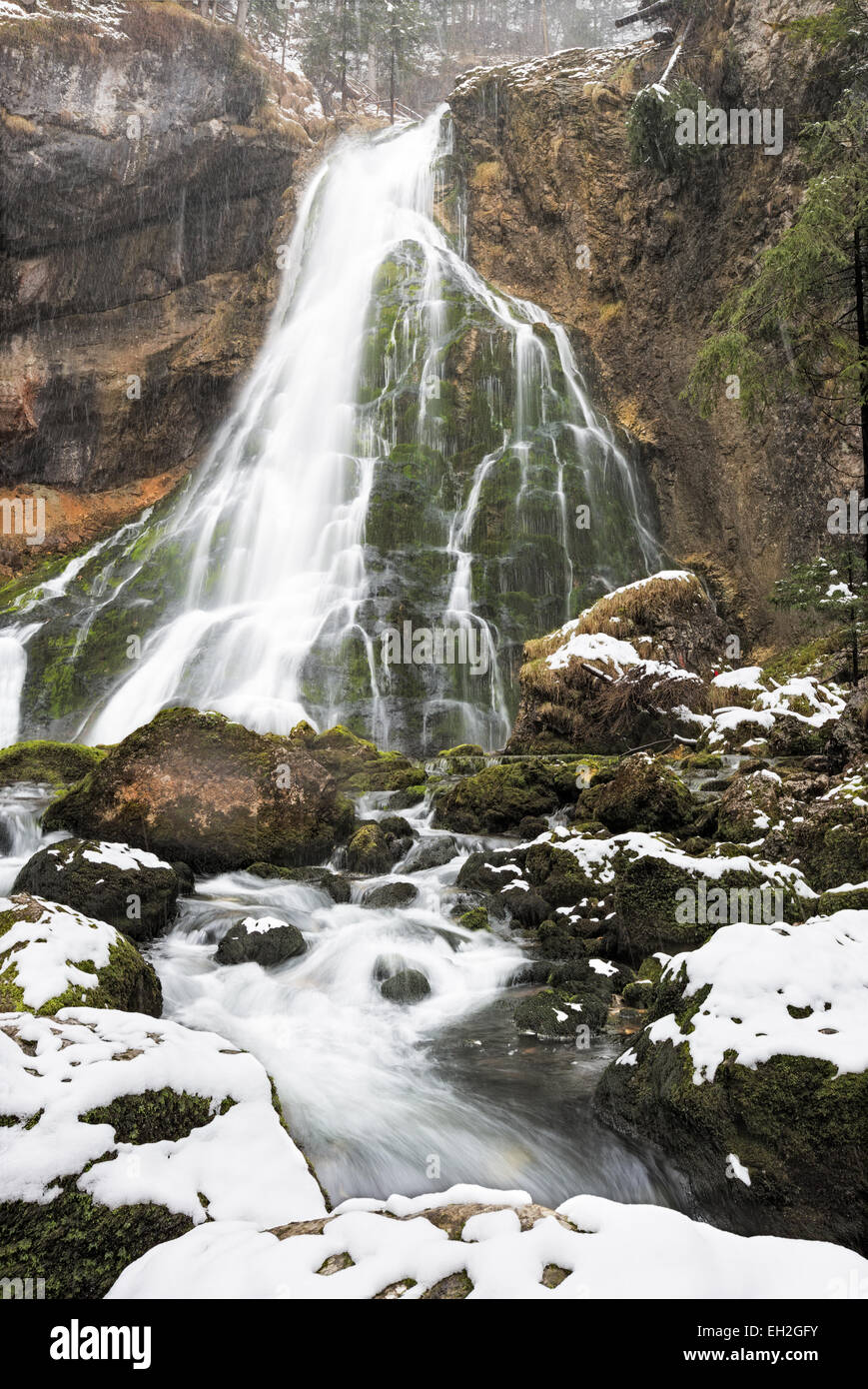 Gollinger hi-res stock photography and images - Alamy