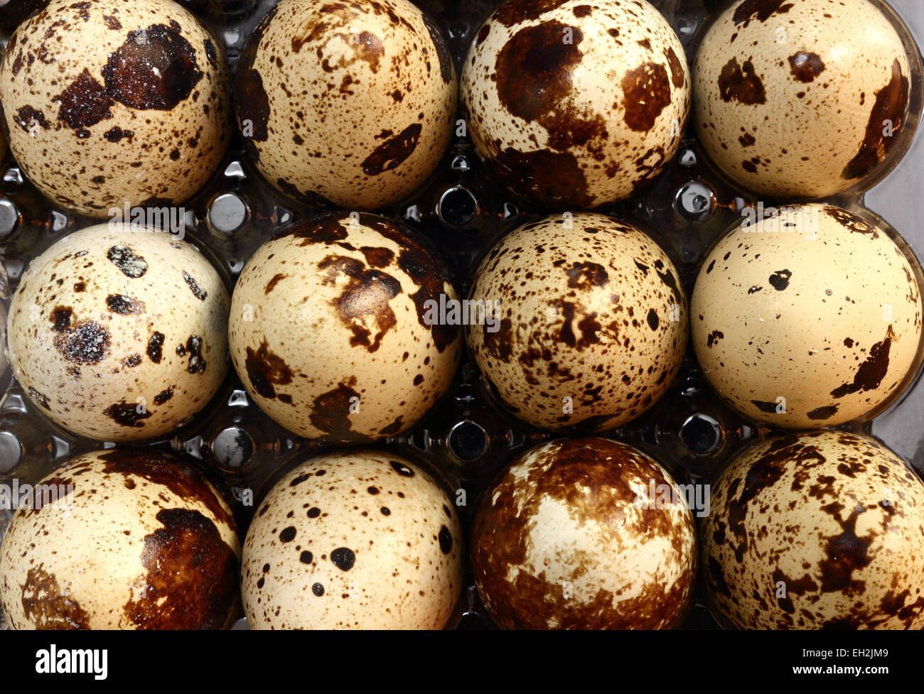 bunch of quail eggs forming a pattern Stock Photo - Alamy