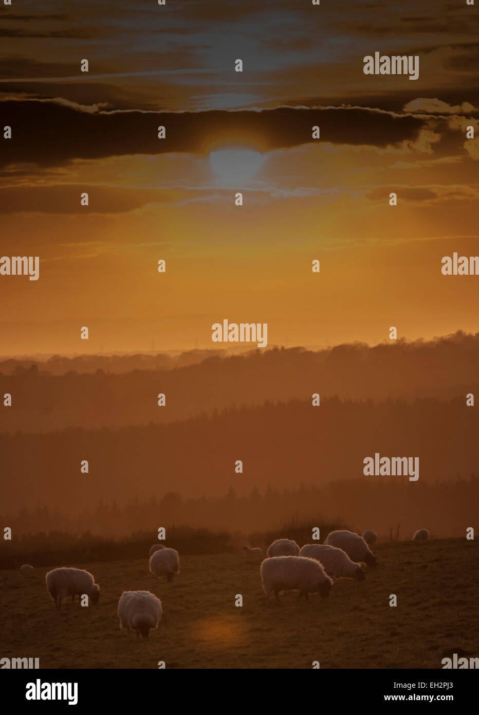 Brightling east sussex hi-res stock photography and images - Alamy