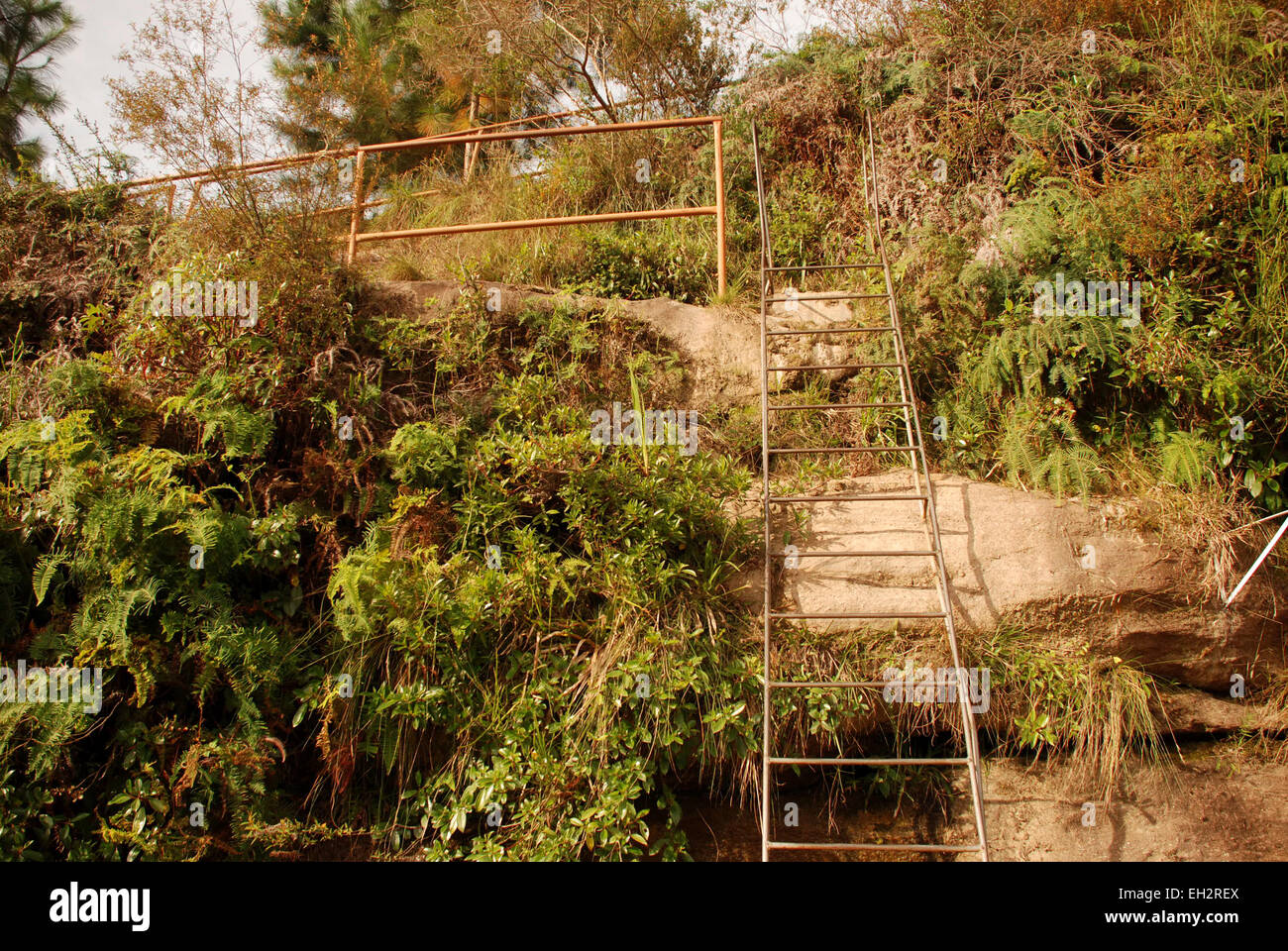 Short climb hi-res stock photography and images - Alamy
